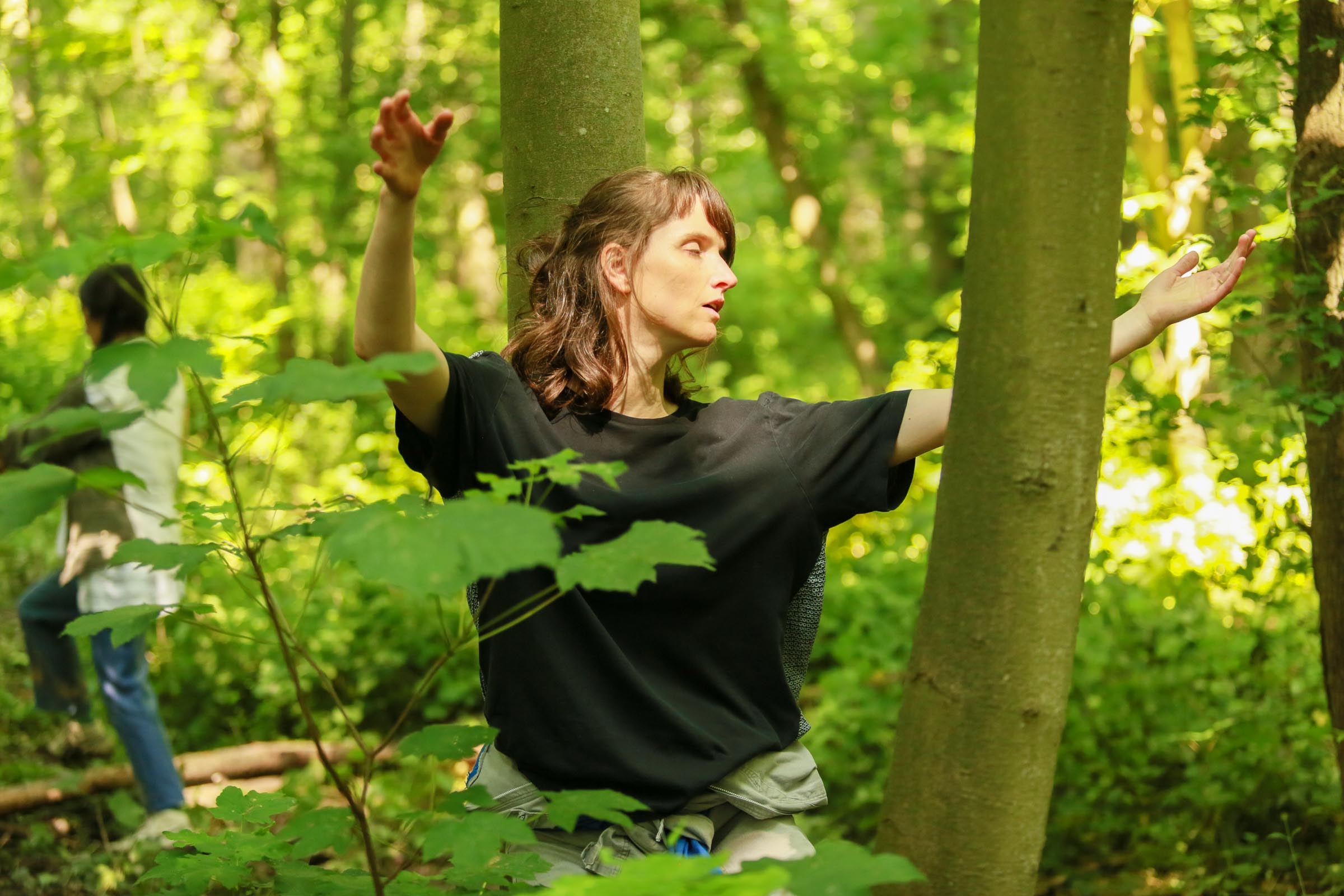 Listen Here: These Woods - Daniel Linehan / Hiatus | Kaaitheater